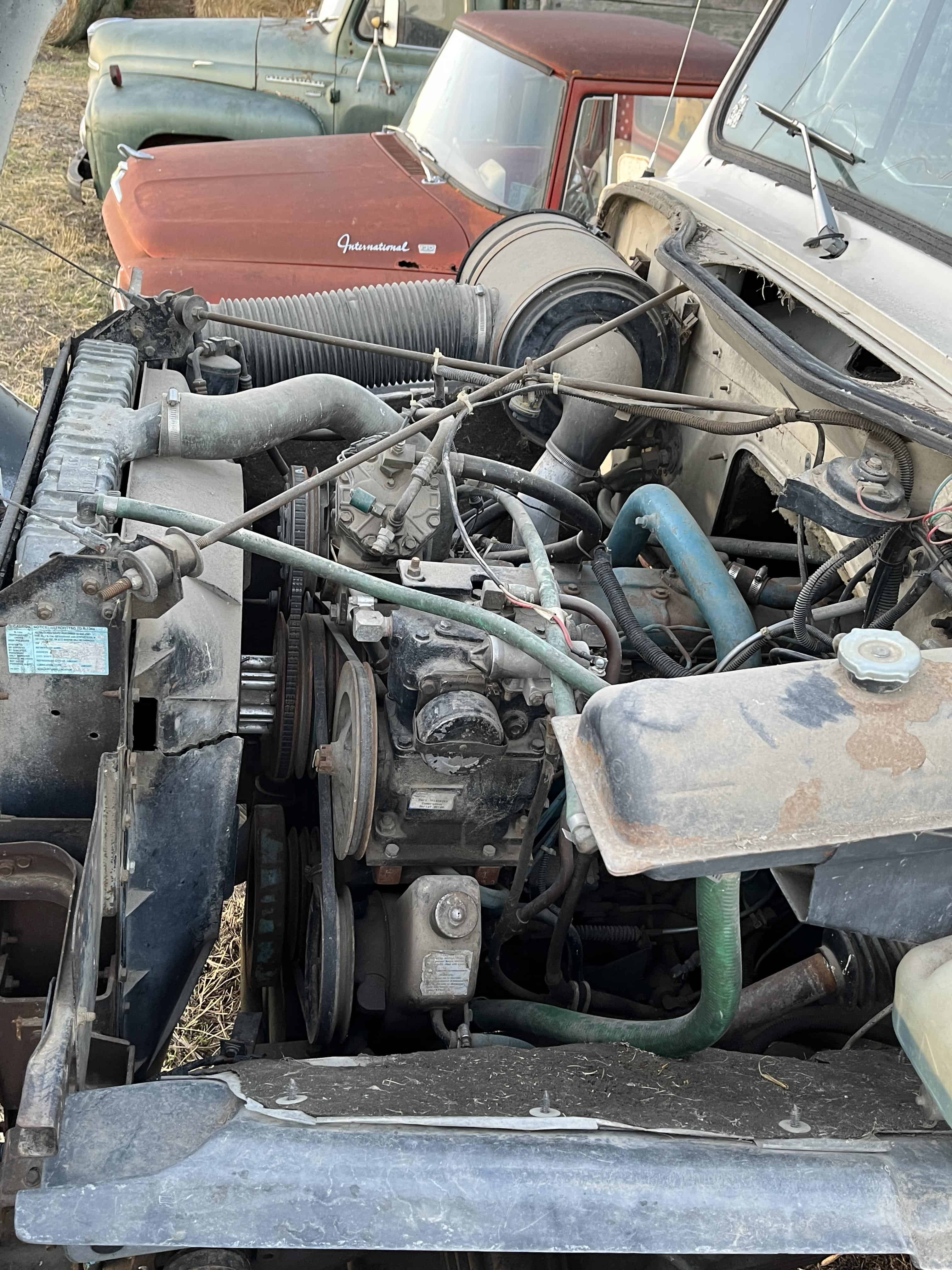 1989 International S1900